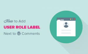 How to Add User Role Label Next to Comments in WordPress