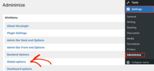 What is Screen Options in WordPress