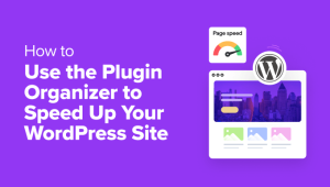 How to Use the Plugin Organizer to Speed Up WordPress