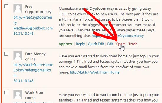 How to Use Antispam Bee to Block Spam Comments in WordPress