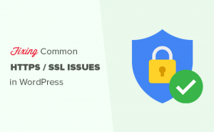 How to Fix Common SSL Issues in WordPress (Beginner's Guide)