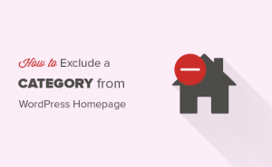 How to Exclude a Category From WordPress Homepage (2 Methods)