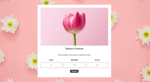 How to Add Age Verification in WordPress (Simple & Easy)