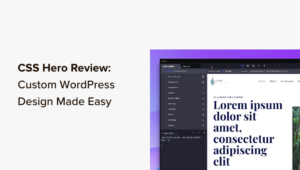 CSS Hero Review: WordPress Design Customization Made Easy