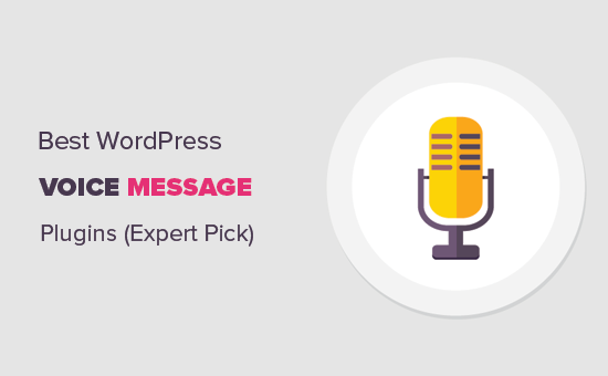 6 Best Voice Message Plugins for WordPress (Expert Pick)