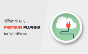 When Is It Worth It to Buy Premium WordPress Plugins? (Explained)