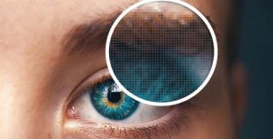 How to Add SVG Image Files inWordPress (3 Simple Solutions)