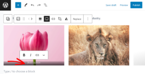 How to Add Caption to Images in WordPress (Beginner's Tutorial)