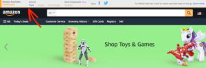 How to Build an Amazon Affiliate Store Using WordPress