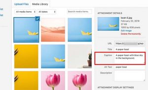 How to Add Caption to Images in WordPress (Beginner's Tutorial)
