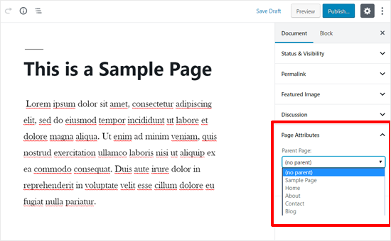 What is the Difference Between Posts vs. Pages in WordPress