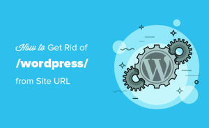 How to Get Rid of /wordpress/ From Your WordPress Site URL