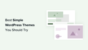 41 Best Simple WordPress Themes You Should Try (2025)