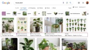 Beginner's Guide to Image SEO - Optimize Images for Search Engines
