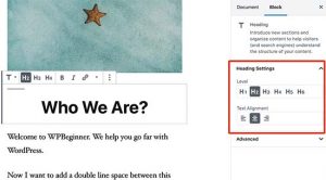 16 Tips for Mastering the WordPress Content Editor