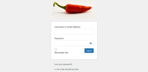 How to Create a Custom WordPress Login Page (Ultimate Guide 2025)