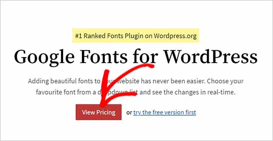 Google Fonts for WordPress Coupon Code - Save 30% OFF (Special)