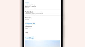 How to Use WordPress App on Your iPhone, iPad, and Android