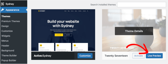 How to Use WordPress Theme Customizer (Ultimate Guide)