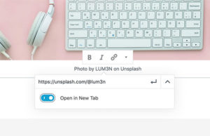 How to Add Image Credits in WordPress (Step by Step)