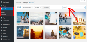How to Get the URL of Images You Upload in WordPress