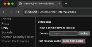 How to Clear Your DNS Cache (Mac, Windows, Chrome)