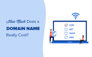 How Much Does a Domain Name Really Cost? (Expert Answer)
