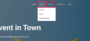 How to Create a Dropdown Menu in WordPress (Beginners Guide)