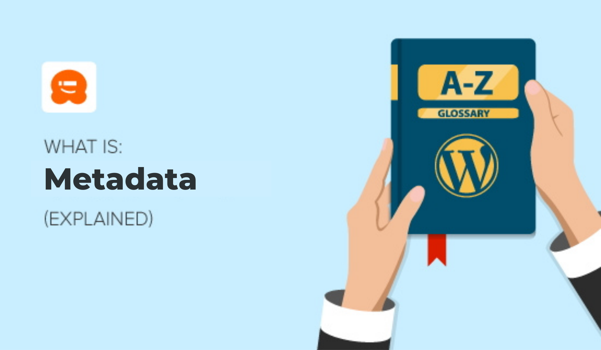 What is WordPress Metadata and Meta Tags? (For Beginners)