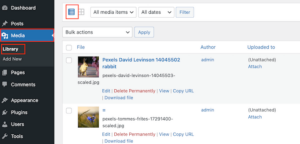 How to Rename Images and Media Files in WordPress