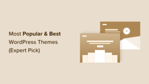 2025's Most Popular and Best WordPress Themes (Expert Pick)