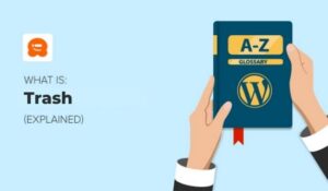 What Is Trash in WordPress?