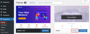 Beginners Guide: How to Install a WordPress Theme