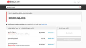 How to Buy a Domain Name That is Taken (9 Pro Tips)