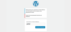 63 Most Common WordPress Errors and How to Fix Them