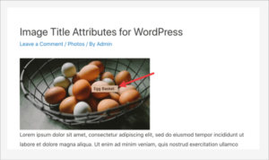 How to Easily Add Title Attribute to Images in WordPress (2 Methods)