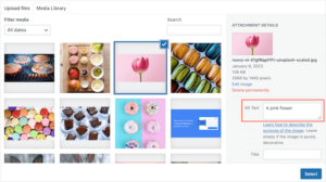 How to Easily Add Title Attribute to Images in WordPress (2 Methods)
