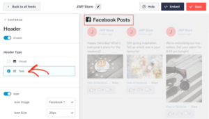 How to Display Your Facebook Timeline in WordPress