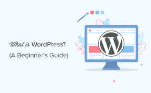 What is WordPress? A Beginner's Guide (FAQs + Pros and Cons)