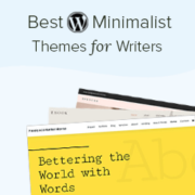 25 Best Minimalist WordPress Themes for Writers (2021)