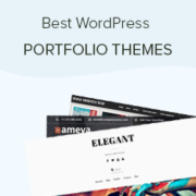27 Best Portfolio WordPress Themes for Your Website (2021)