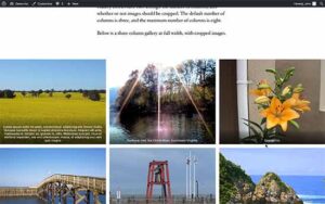 How to Add Dummy Content for Theme Development in WordPress