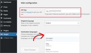 How to Automatically Translate WordPress (2 Easy Methods)