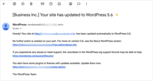 How to Disable Automatic Update Email Notification in WordPress
