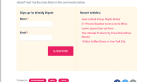 How to Add Custom After Post Widgets in WordPress (Easy)