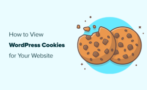 How to Know if Your WordPress Website Uses Cookies