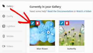 How to Put Images Side by Side in WordPress (Easily)