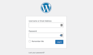 How to Add Front-End Login Page and Widgets in WordPress