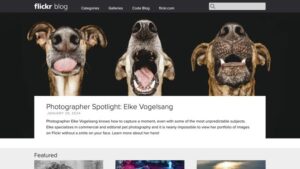 40+ Best Blog Examples of 2025: Inspiring Successful Bloggers