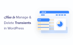 How to Manage and Delete Transients in WordPress (The Easy Way)